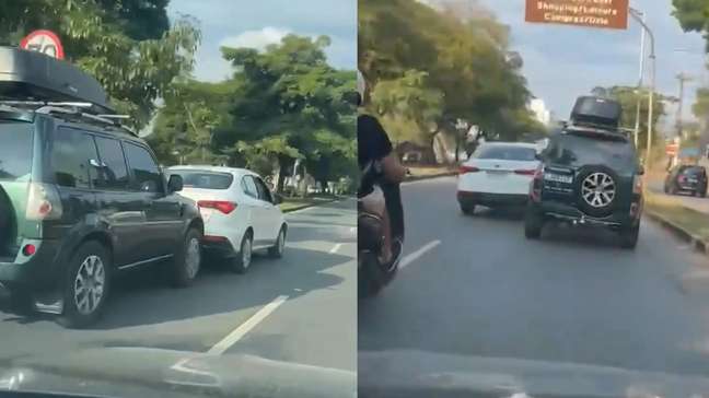 Pequenos fragmentos florestais podem conservar mais aves quando o ...